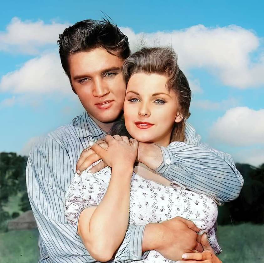 Elvis Presley - Clean up your own backyard - Golden Music